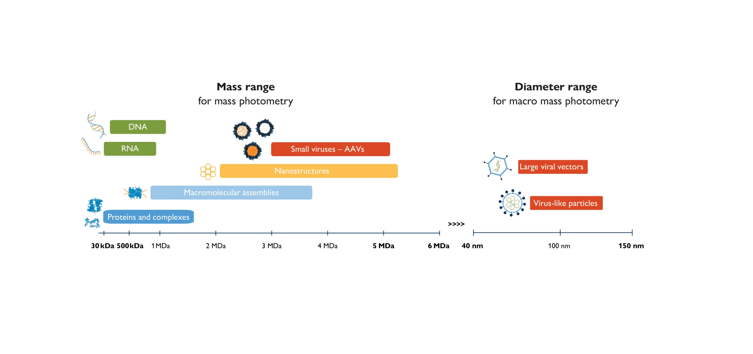 Understanding the strengths and boundaries of mass photometry - Refeyn