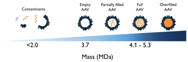 Comparing analytical approaches for AAV characterization (2026) - Refeyn