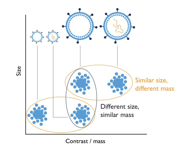 KaritroMP Macro Mass Photometer - Refeyn