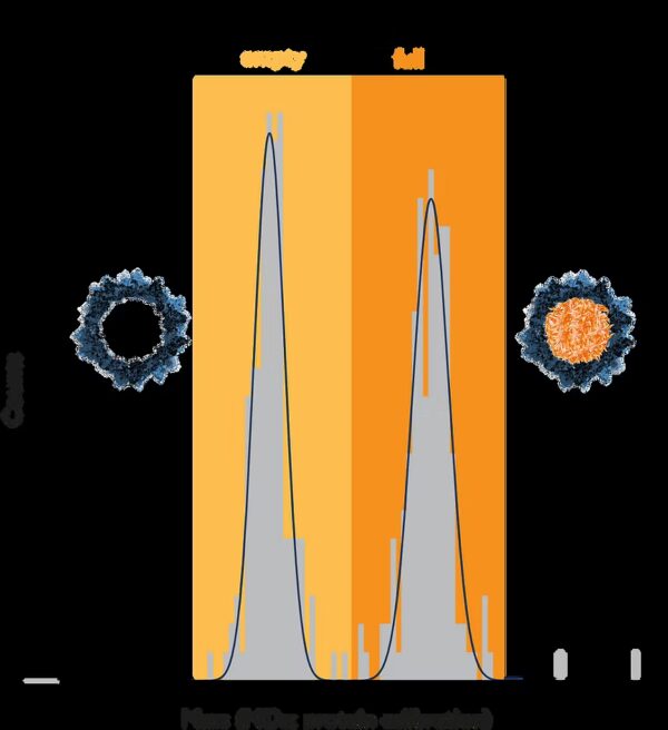 SamuxMP Mass Photometer - Refeyn