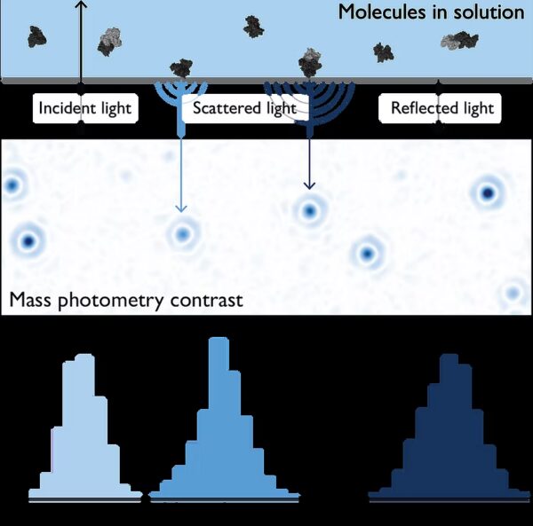 Tech notes basics of mass photometry - Refeyn