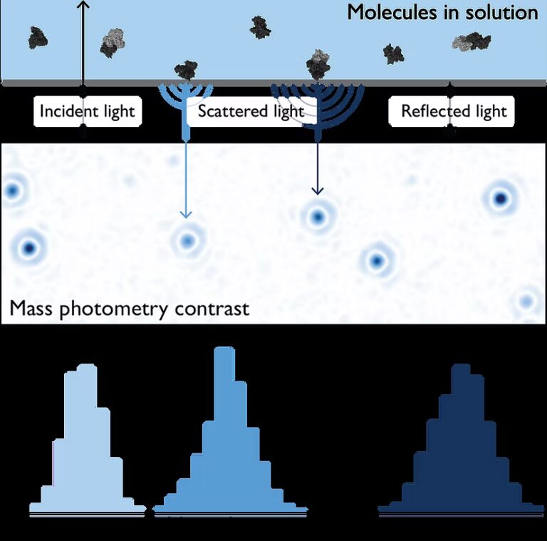 Tech notes basics of mass photometry - Refeyn