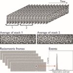 Tech notes basics of mass photometry - Refeyn