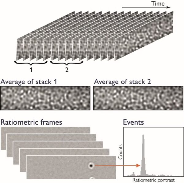 Tech notes basics of mass photometry - Refeyn