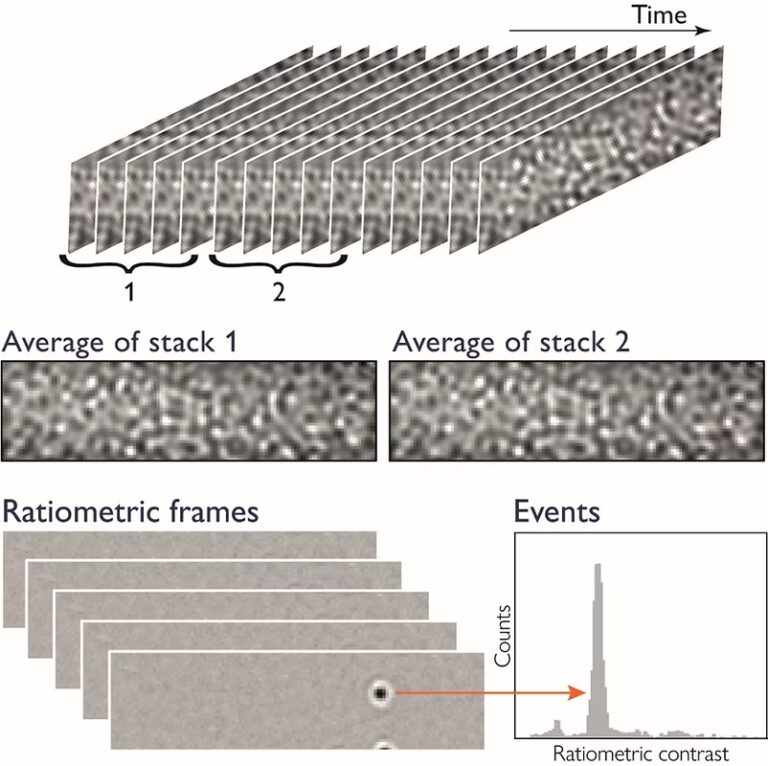 Tech notes basics of mass photometry - Refeyn