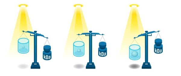 Mass Photometry - Refeyn