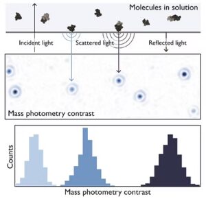 Mass Photometry - Refeyn