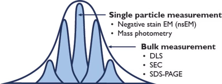 Cryo EM Screening - Refeyn