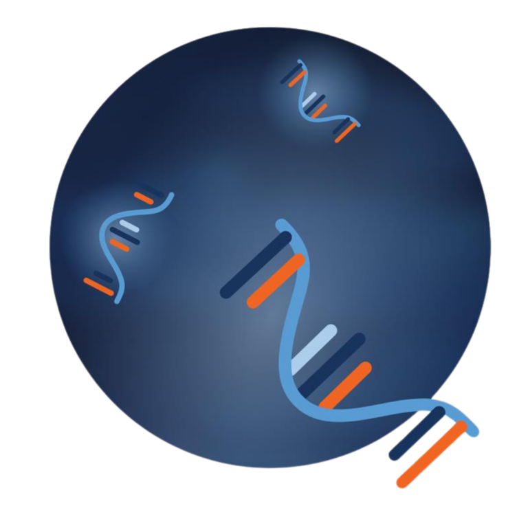 Mass Photometry Vanderbilt Workshop - Refeyn