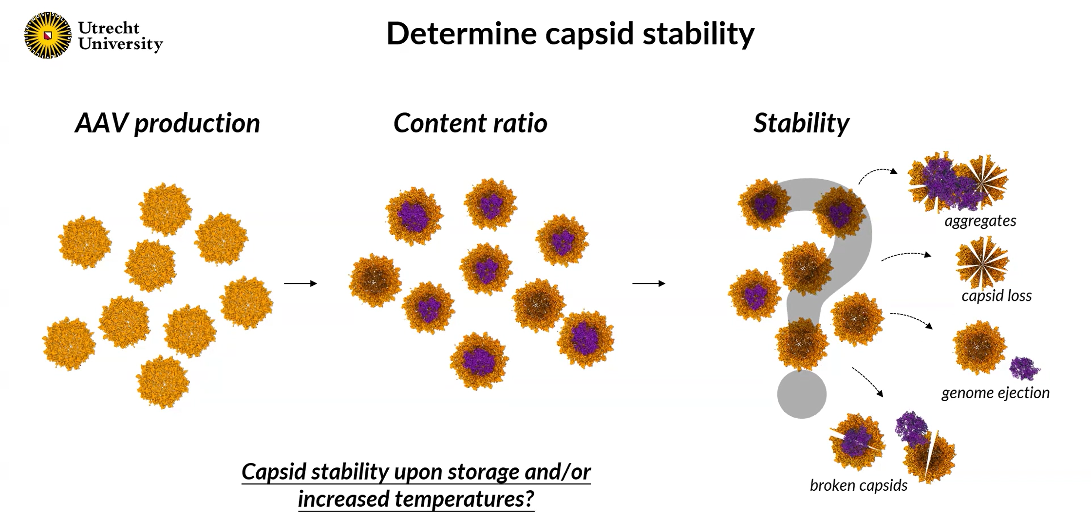 Webinar: Assessing AAV thermal stability - Refeyn